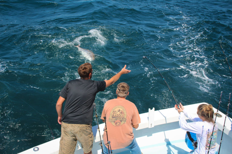 71st Annual Destin Fishing Rodeo with Backlash - Destin Offshore Charters